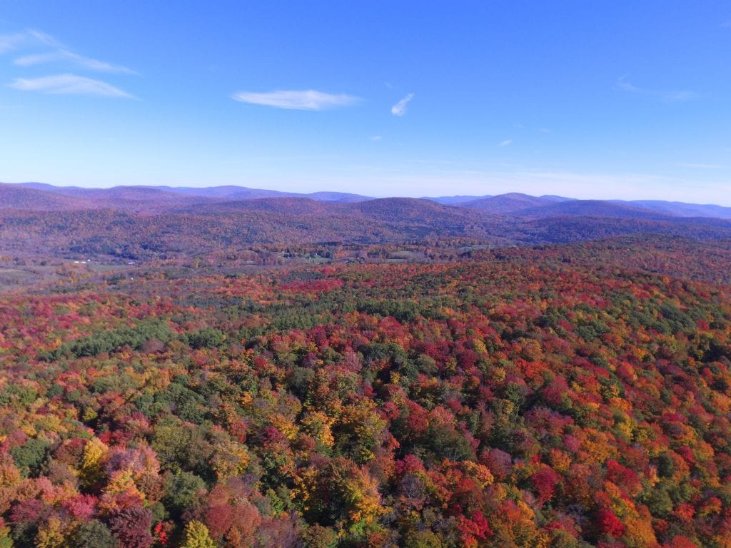 DRONE! - Aerial Photography - Catskill Forest Association