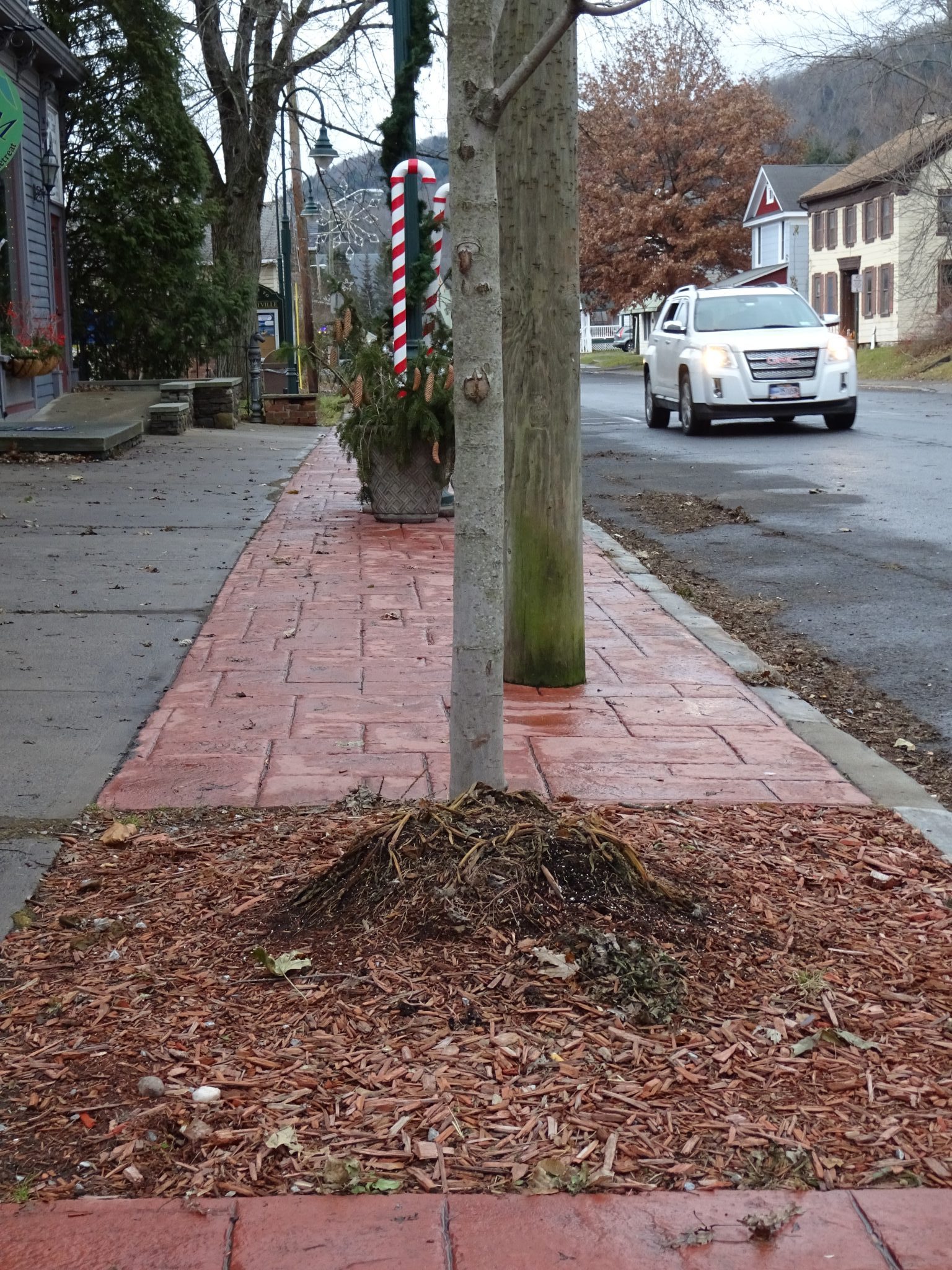 Volcano Mulch - Catskill Forest Association