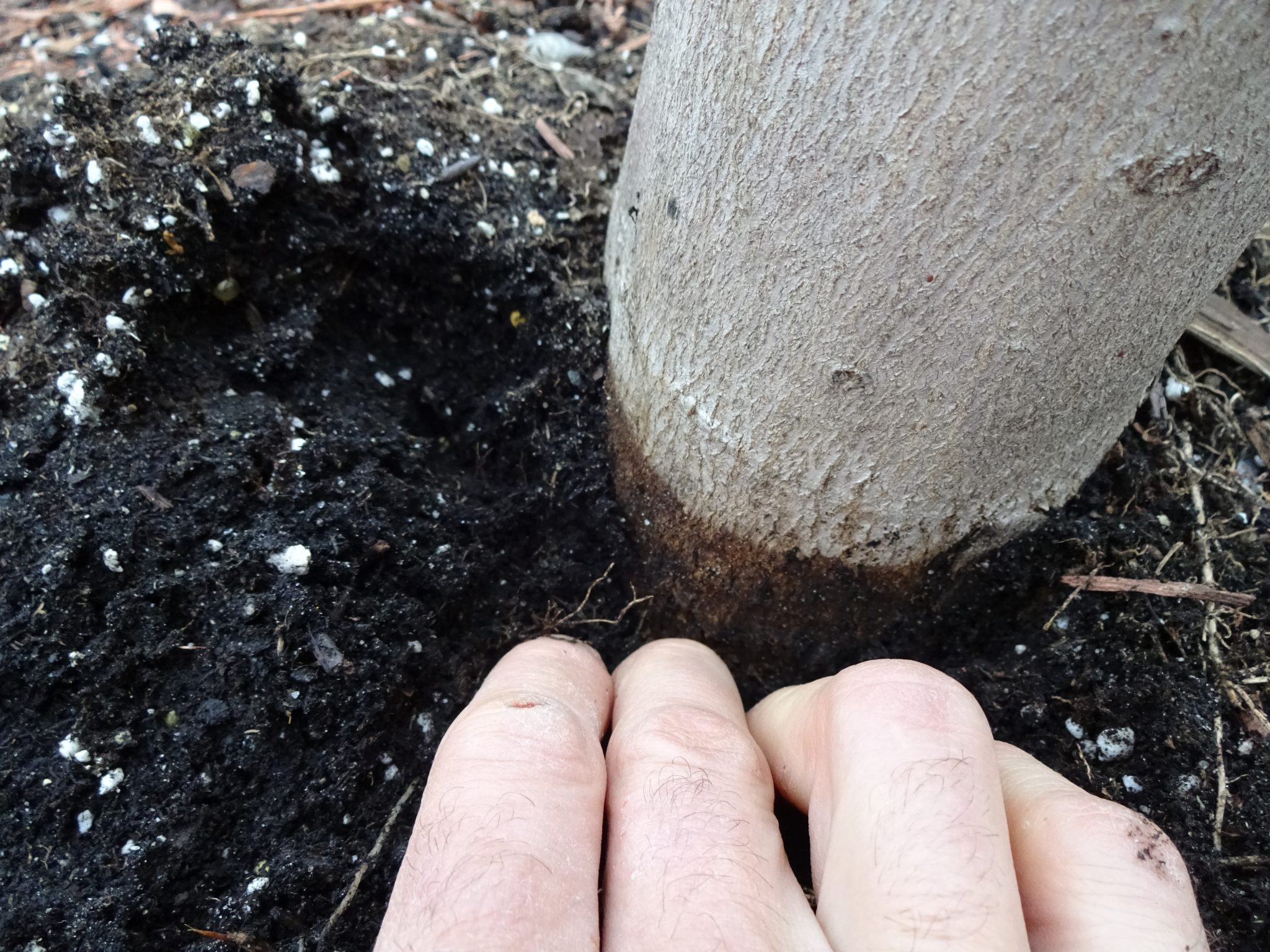 Volcano Mulch - Catskill Forest Association