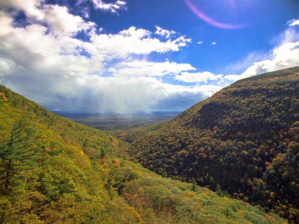 About Catskill Forest Association - Catskill Forest Association