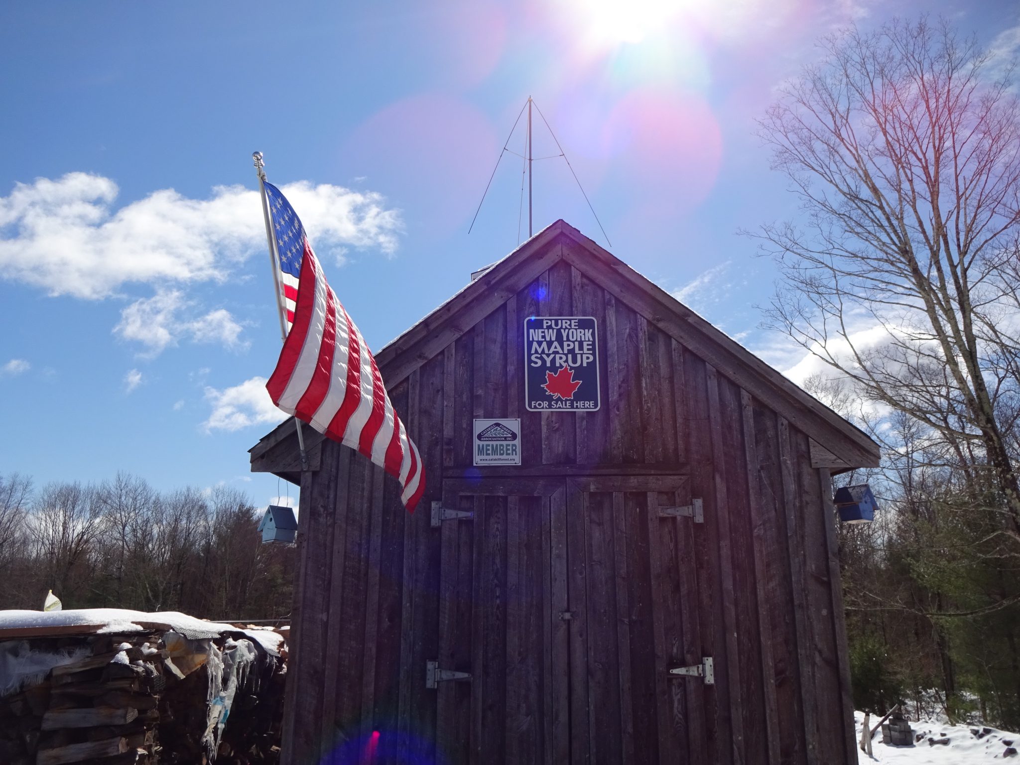 Leaning Upon the Forest - Catskill Forest Association