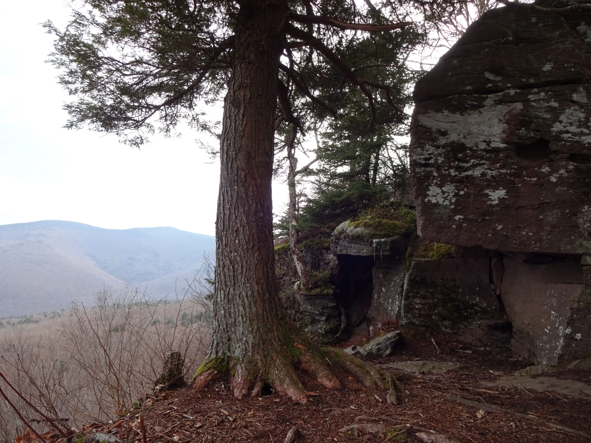 3200 Giant Ledge - Catskill Forest Association