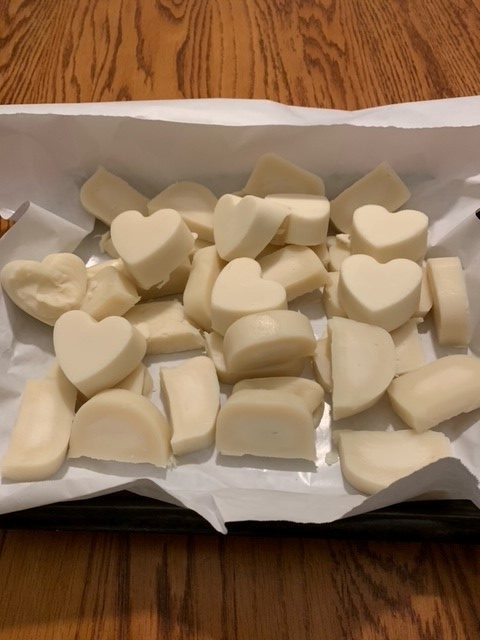 Soap from the Forest - Catskill Forest Association