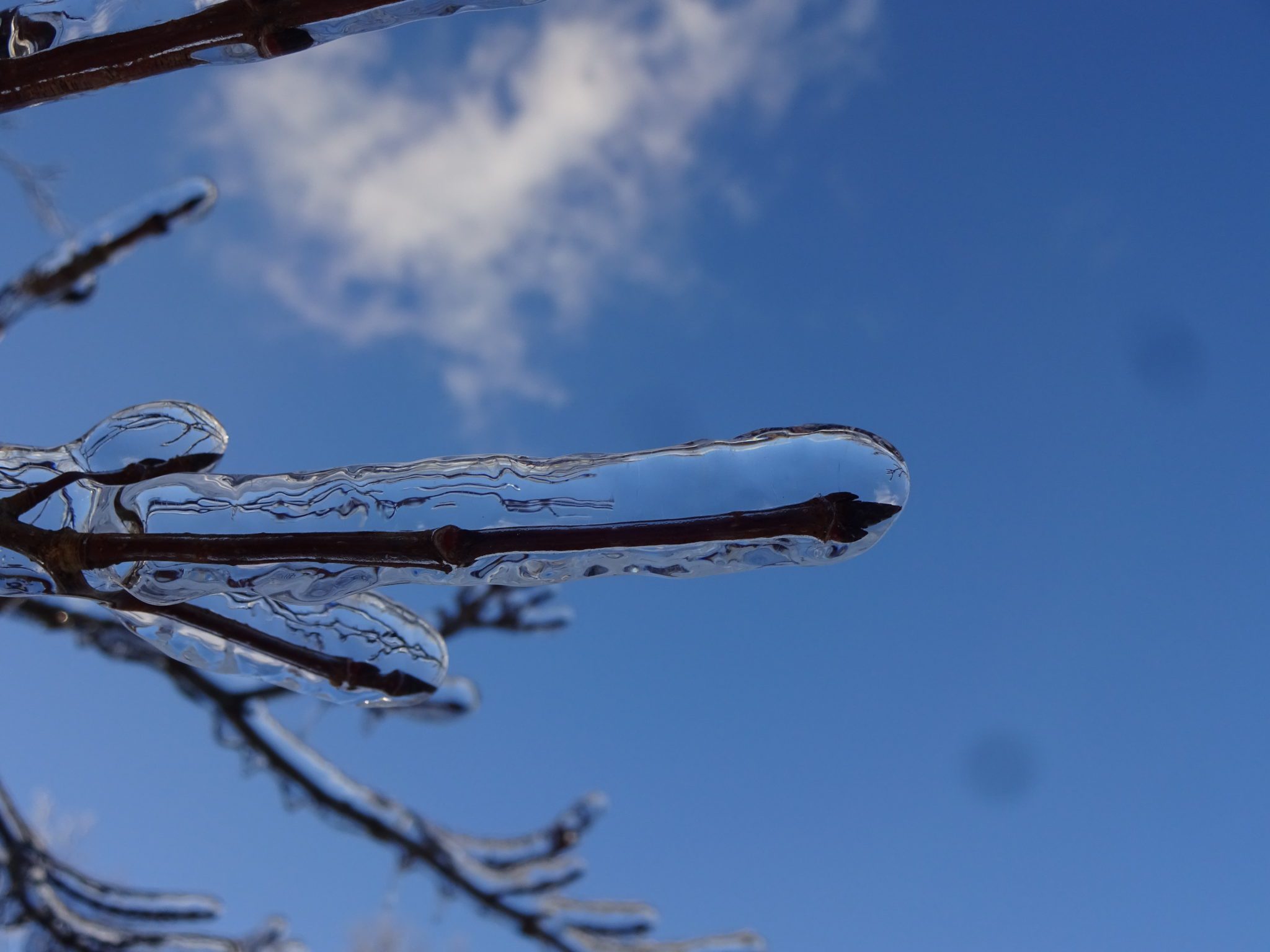 Heavy Ice - Catskill Forest Association