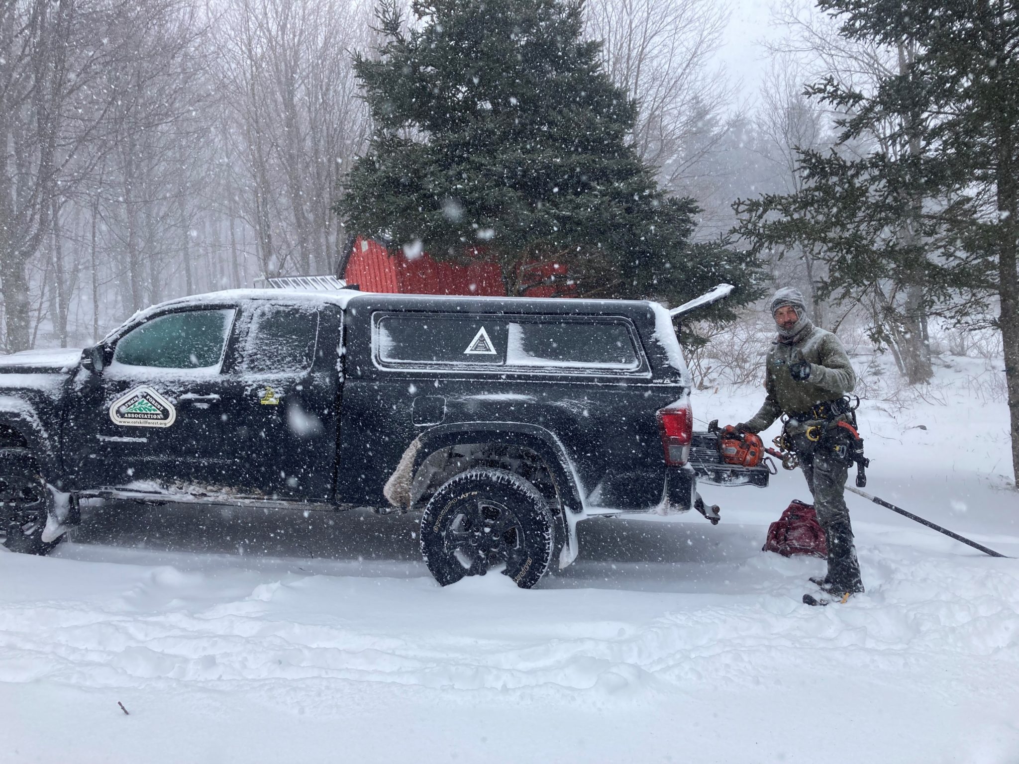 Snow Pruning - Catskill Forest Association