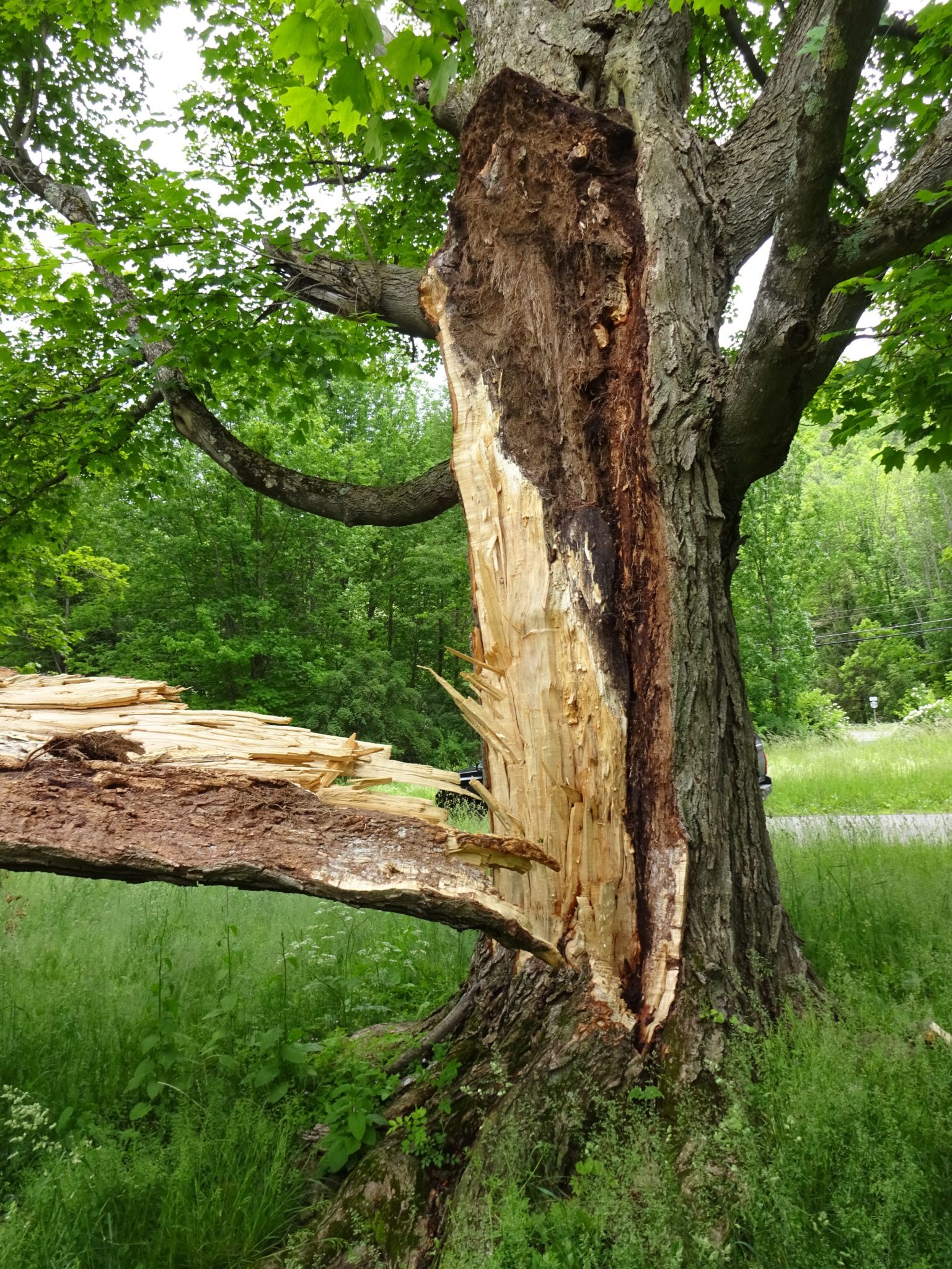 Structural Failure - Catskill Forest Association