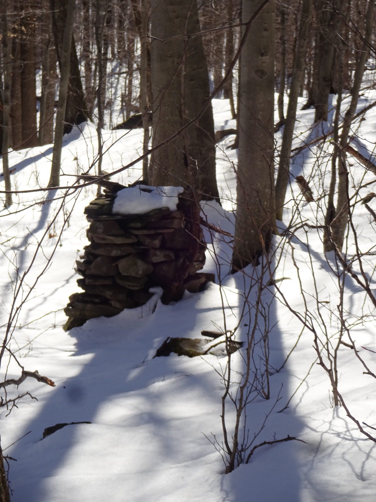 Forest Artifacts - Catskill Forest Association