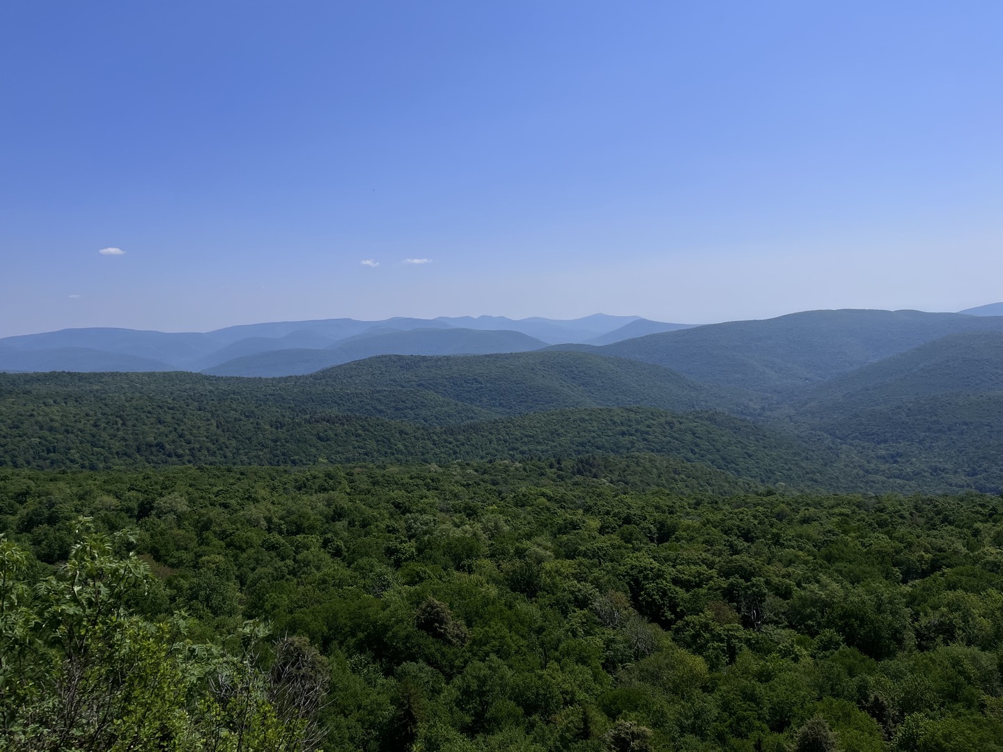 Welcome - Catskill Forest Association
