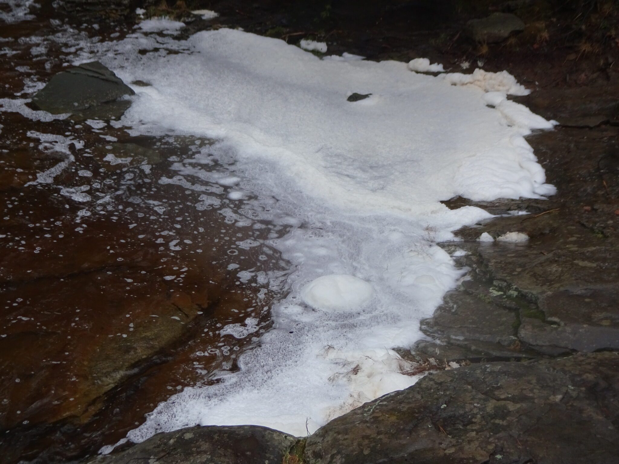Stream Foam - Catskill Forest Association