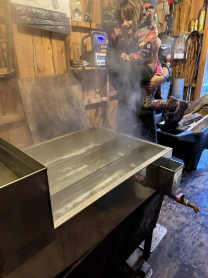 2024 Maple Sugaring Season Report - Catskill Forest Association 2024 Maple Sugaring Season Report - Catskill Forest Association