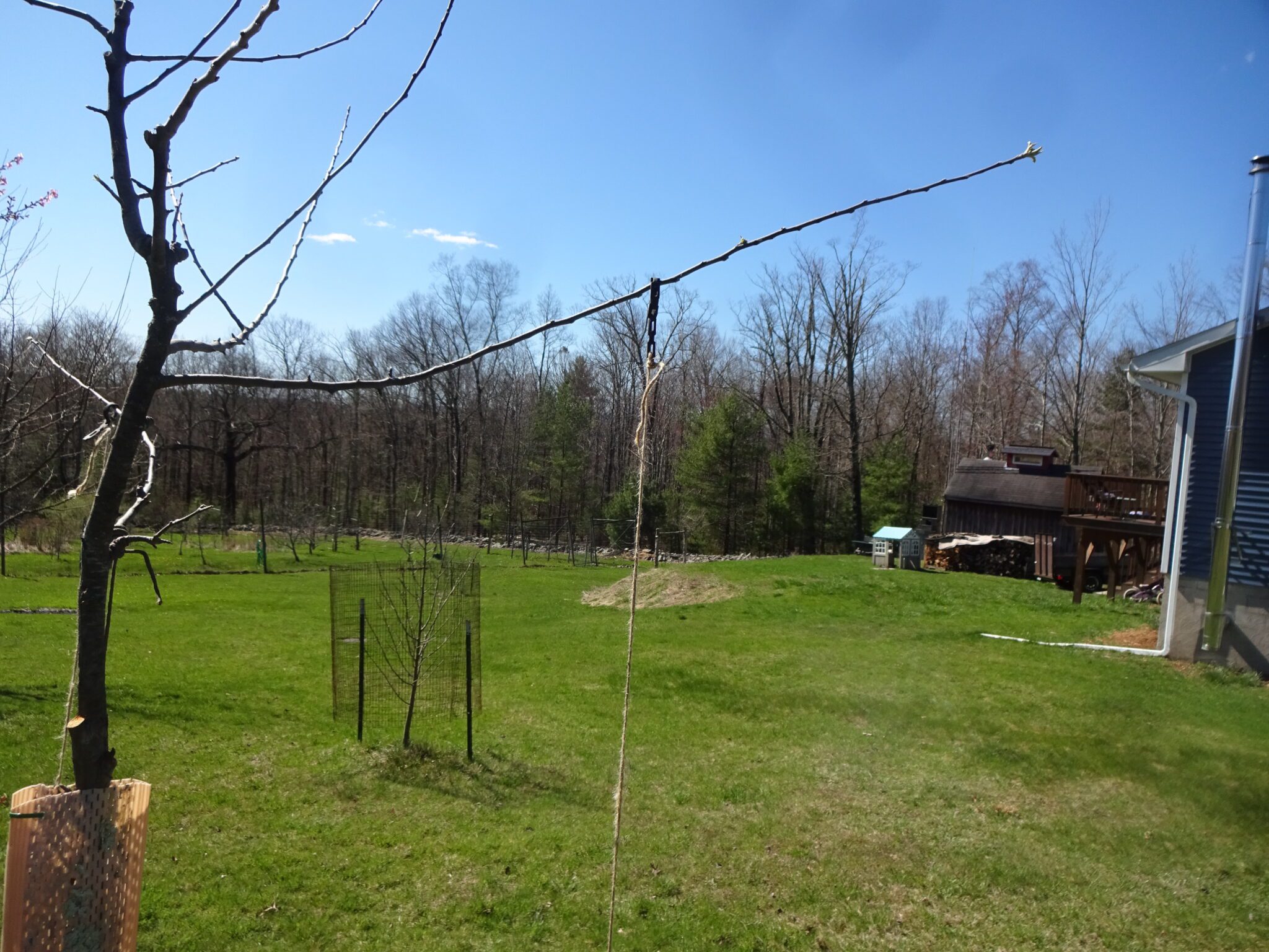 Training Time - Catskill Forest Association