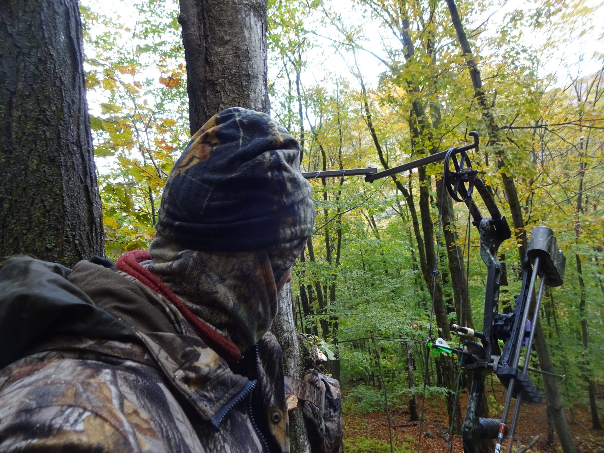 Bow Hunting Begins - Catskill Forest Association